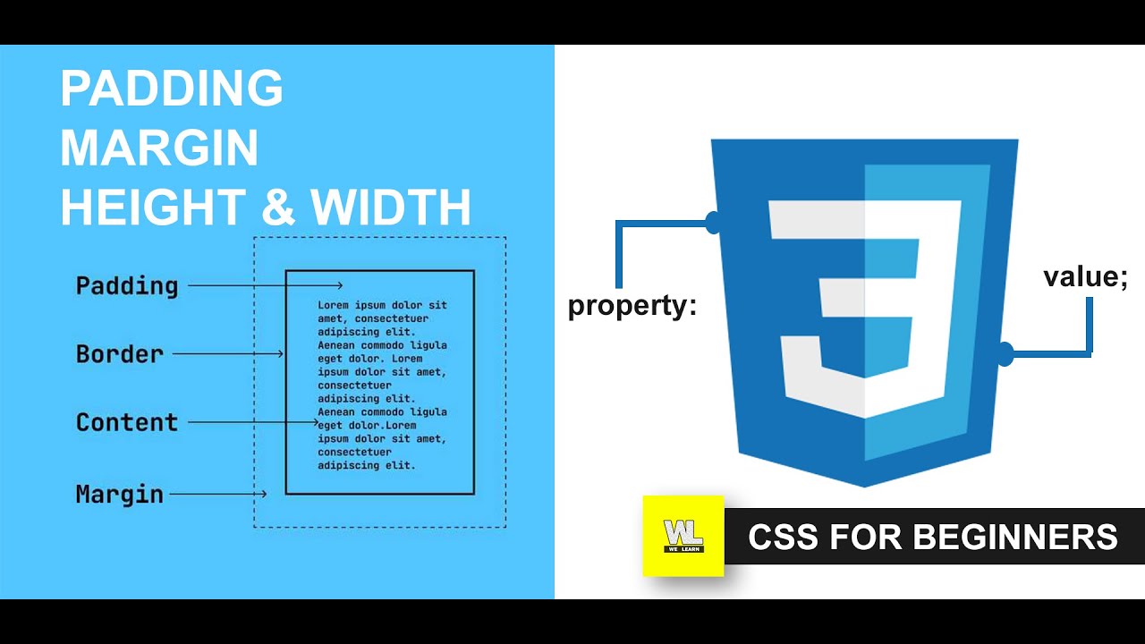 CSS Tutorial for beginners | Unit Margin Padding
