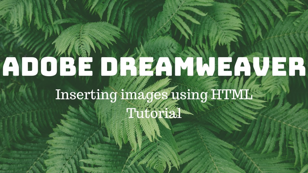 Dreamweaver - Inserting images using HTML