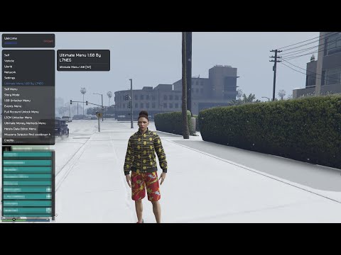 How To Use Any Mod Menu on GTA V (after anticheat)