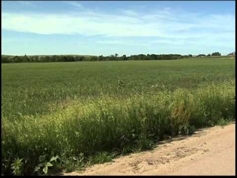 NW KS Travel Council: "A Story Around Every Curve" -(3 of 3) -Oberlin and the Last Indian Raid