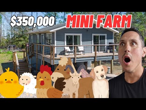 $350,000 WILL BUY YOU THIS IN NASSAU COUNTY, FL !!!!