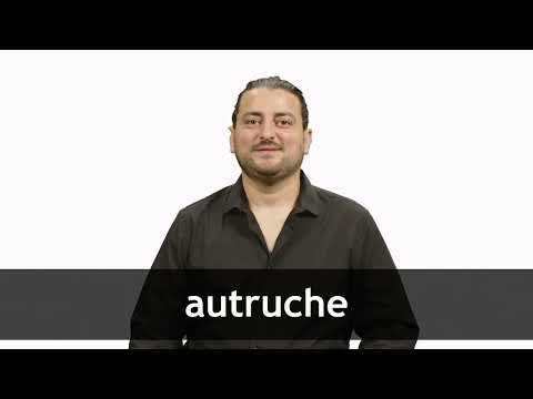 English Translation of “AUTRUCHE” | Collins French-English Dictionary
