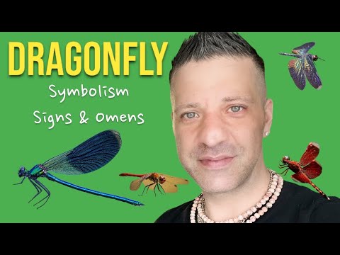 IF YOU SEE A DRAGONFLY OR IF A DRAGONFLY LANDS ON YOU | Symbolism | Signs & Omens