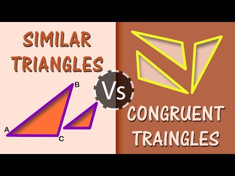 What is the Difference Between Similar & Congruent Triangles | Quadrilateral Polygons | Geometry