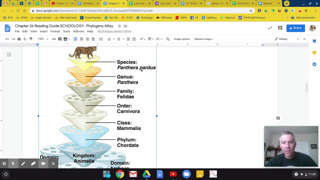 Ch 26 Phylogeny Reading Guide Discussion: Apr 21, 2020