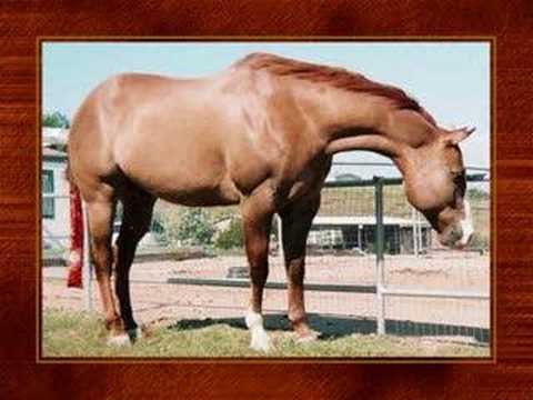 Diamond D Ranch