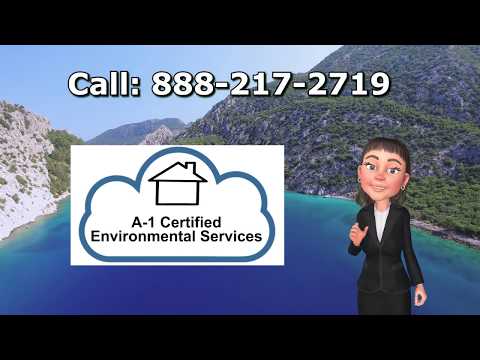 Mold Testing Glendale CA