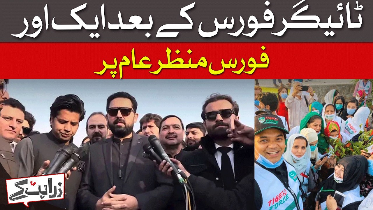 Tiger Force 2.0? | Dawn News