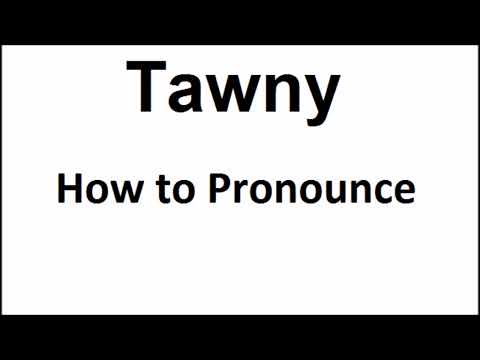 How to pronounce Tawny||How to say Tawny||Tawny Pronunciation||ABDictionary