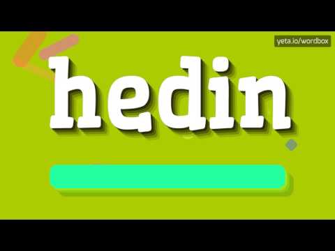 HEDIN - HOW TO PRONOUNCE IT!?