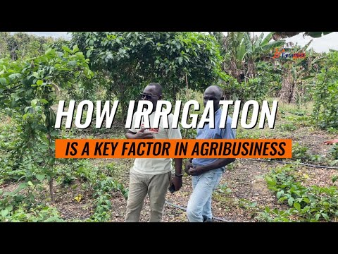 Why Irrigation Is A Key Factor In Agribusiness (Farm) #irrigation #irrigationsystems #farming