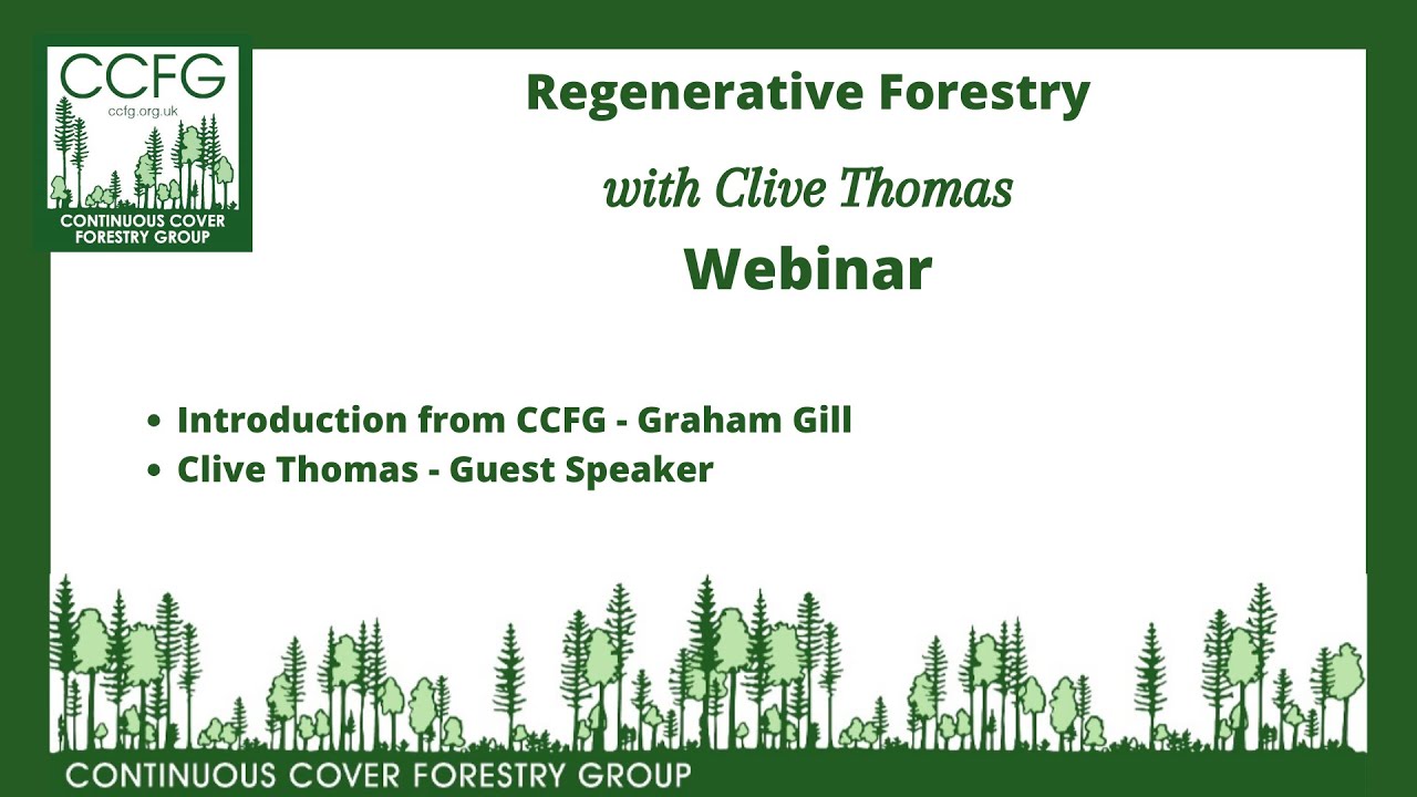 Regenerative Forestry