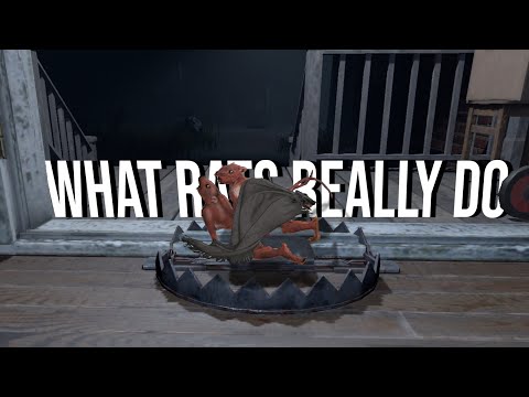 Steam Community :: Video :: What Rat's Actually Do - In Silence