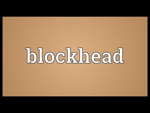 Blockhead Meaning