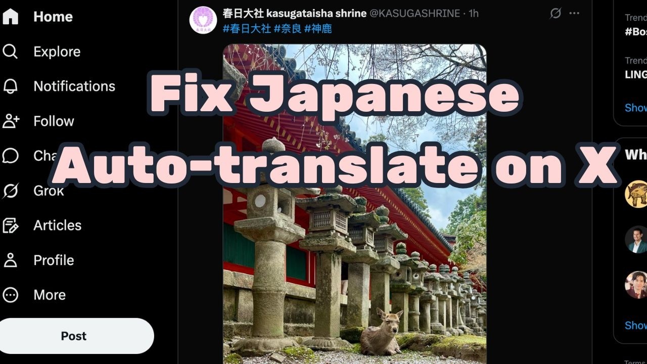 Auto-translate Japanese Twitter / X in 2 Minutes (Brave & Chrome)