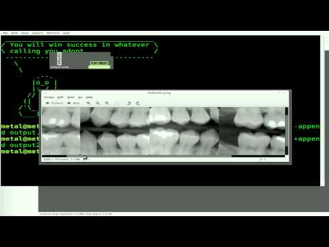 Multipule Images into 1 with ImageMagick - BASH - Linux