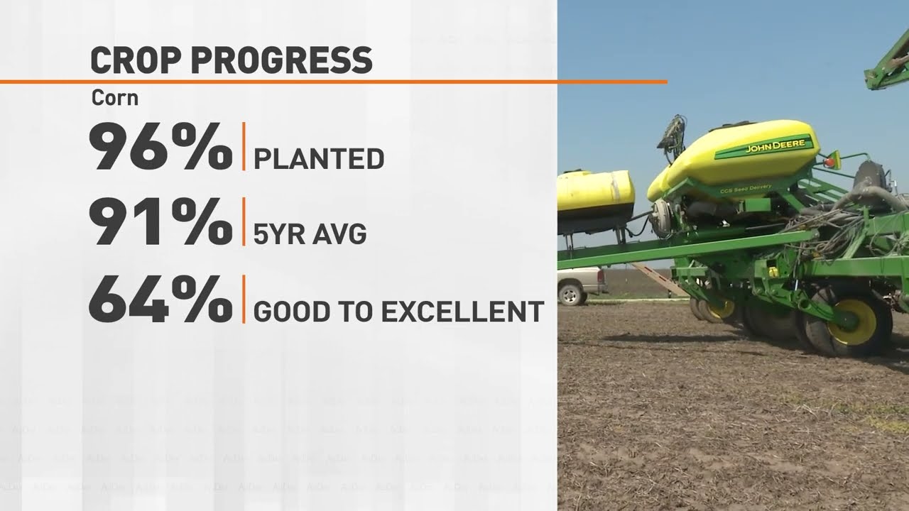 Crop Progress [June 6th Update]