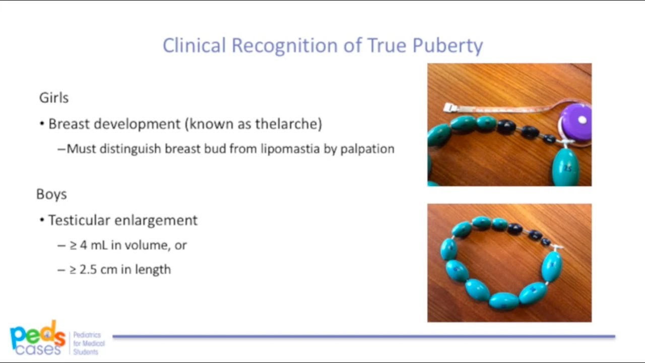 Puberty and Pubertal Disorders – Part 1: Normal Puberty