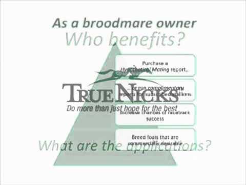 What is TrueNicks?