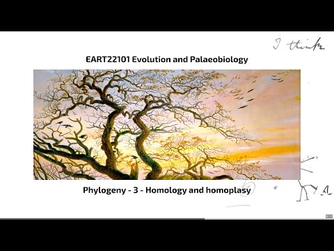 Phylogeny, Video 3 - EART22101 - Palaeobiology and Evolution