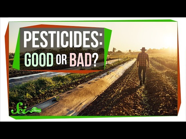 Understanding Pesticides: Safety, Benefits, and Misconceptions | Galaxy.ai
