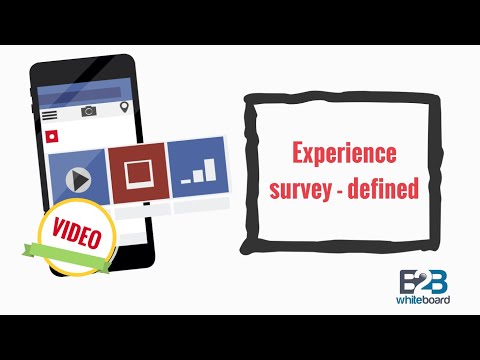 Experience survey - defined