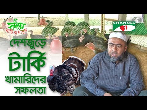turkey farm in bangladesh Watch HD Mp4 Videos Download Free