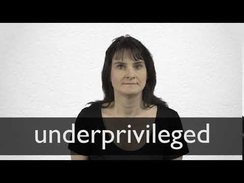 UNDERPRIVILEGED 释义 | 柯林斯英语词典