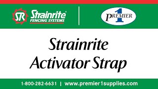 Activator-Strap Post Insulator - Premier1Supplies