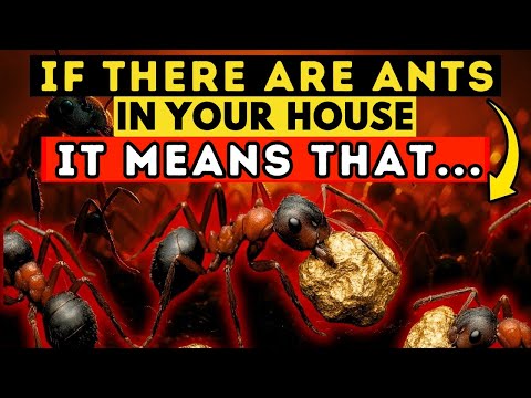 Discover the Spiritual Meaning of ANTS in Your Home It's Amazing! ππ