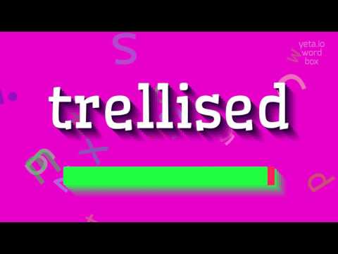 HOW TO PRONOUNCE TRELLISED?
