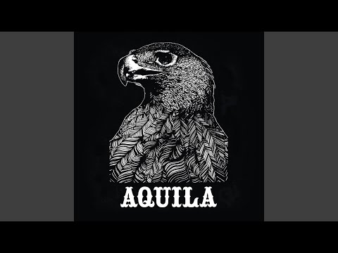 Aquila — “Change Your Ways”: Brace for the Obscure (60s rock ...