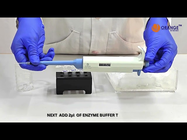 BIO TECH KITS - Pro TechEx-DNA Fingerprinting Teaching Kit (Using RFLP ...