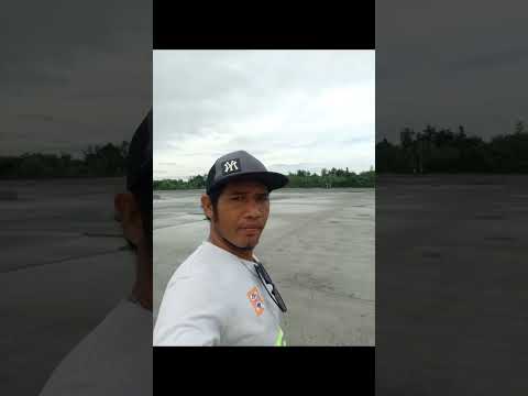 pepitsTV