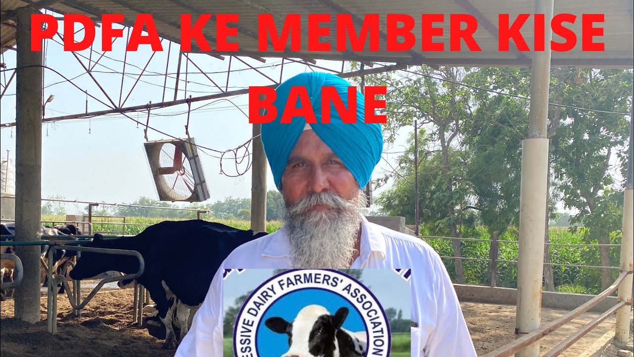HOW TO BECOME PDFA MEMBER | AULAKH DAIRY FARM | AULAKH DAIRY FARM