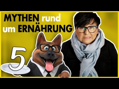 Hund füttern I Meine TOP 5 der größten Mythen und Irrtümer zur Hundefütterung