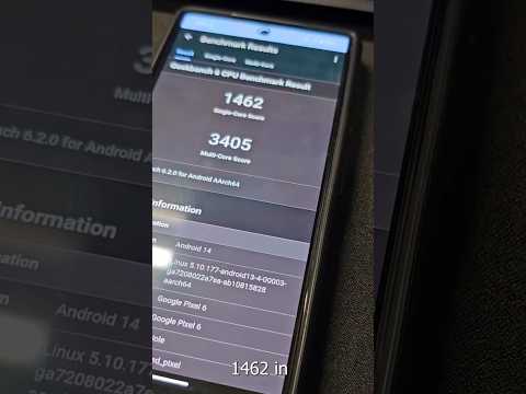 How does google pixel 6 performs in 2024 ? Performance test (geekbench benchmark) #pixelphone