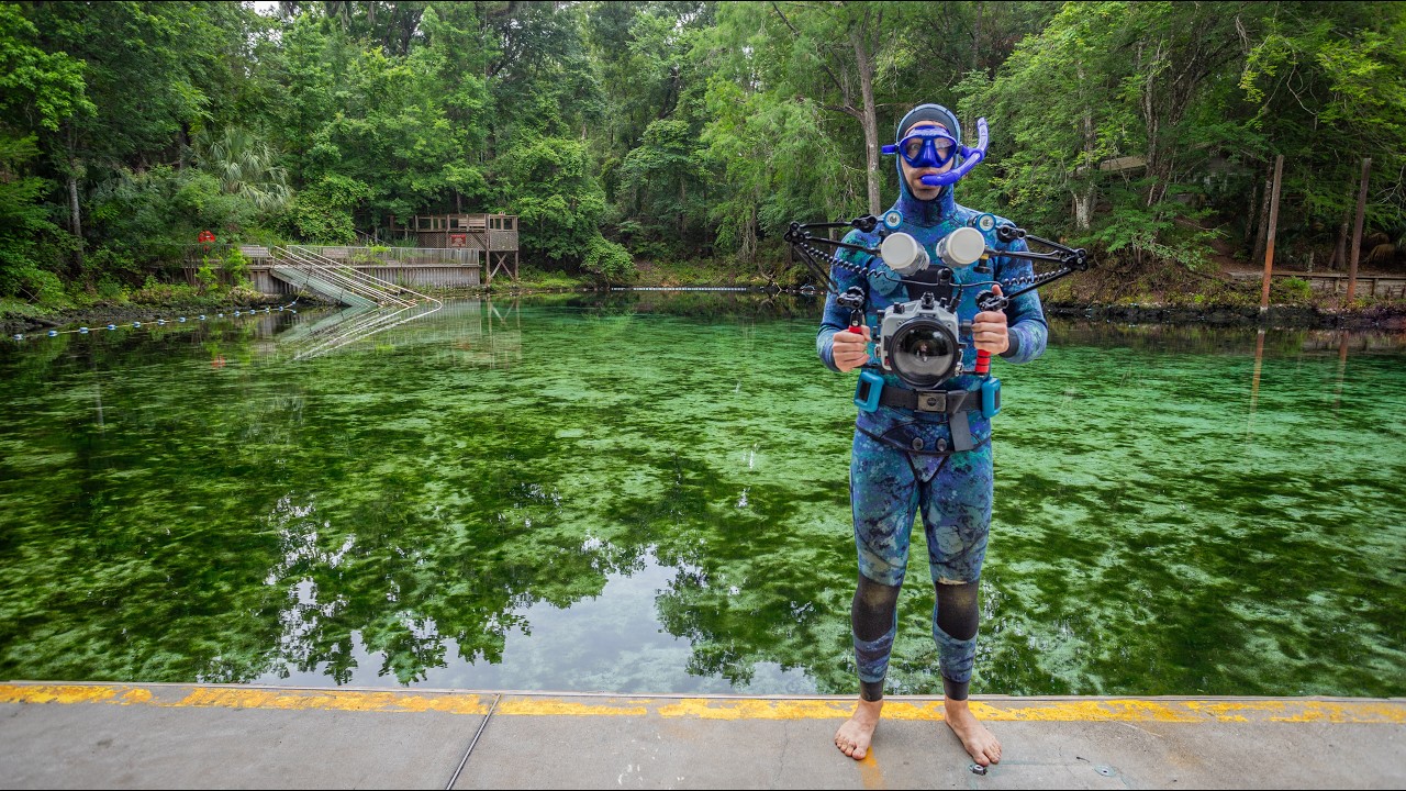 Snorkeling With the Most Under-appreciated Fish in Florida Springs