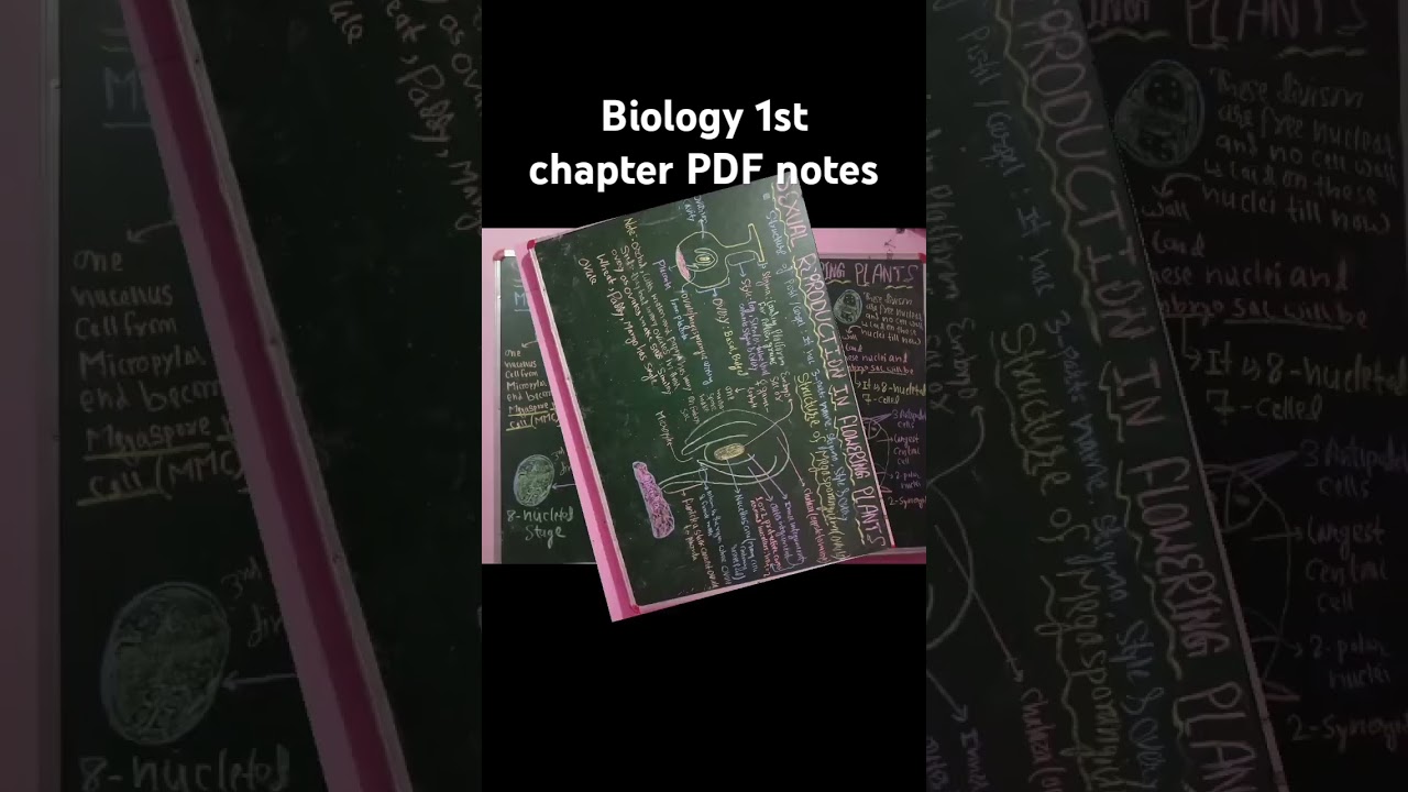 Biology 1st chapter PDF