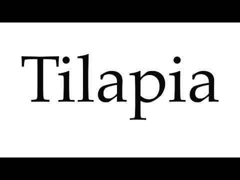 How to Pronounce Tilapia