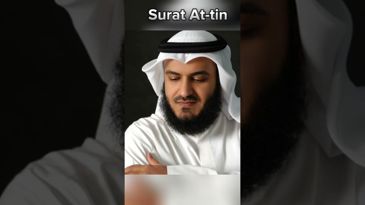 Surat At Tin by Mishary Rasheed Alfasy Quran Recitation