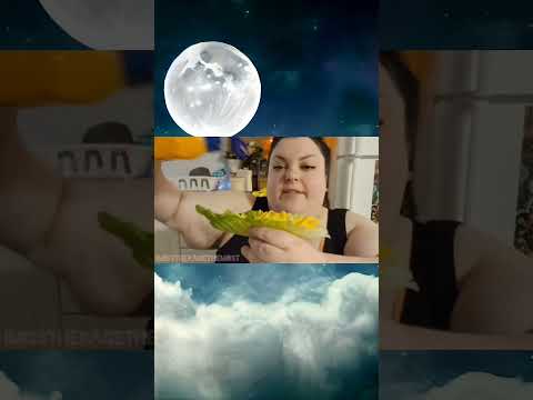 Foodie Beauty - Mid night snackin' in a daze. #foodiebeauty #funny #chantal #foodie #mukbang