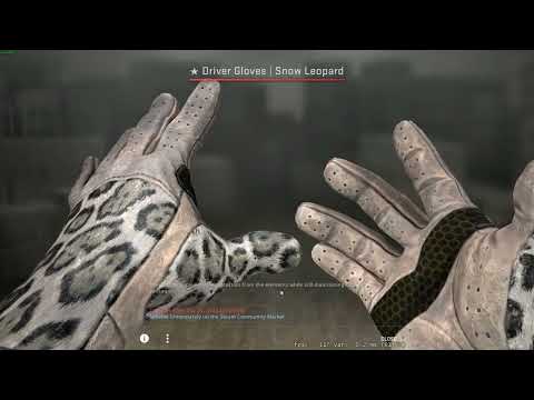 Steam Community :: Video :: Snow Leopard Driver Glove FT unboxing