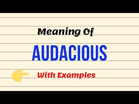 Meaning Of Audacious | Examples | Urdu/Hindi