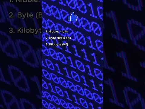 How Big is Digital Information From NIBBLES to TERABYTES?