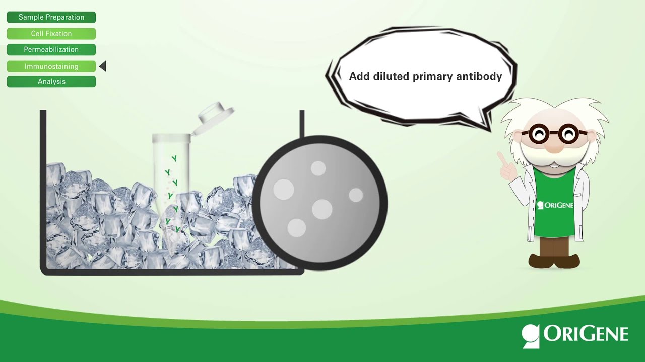 OriGene Presents: The Flow Cytometry Protocol
