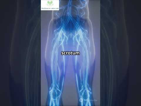 Let's Talk About Testicular Varicocele | Dr. Barun Kumar - Urologist