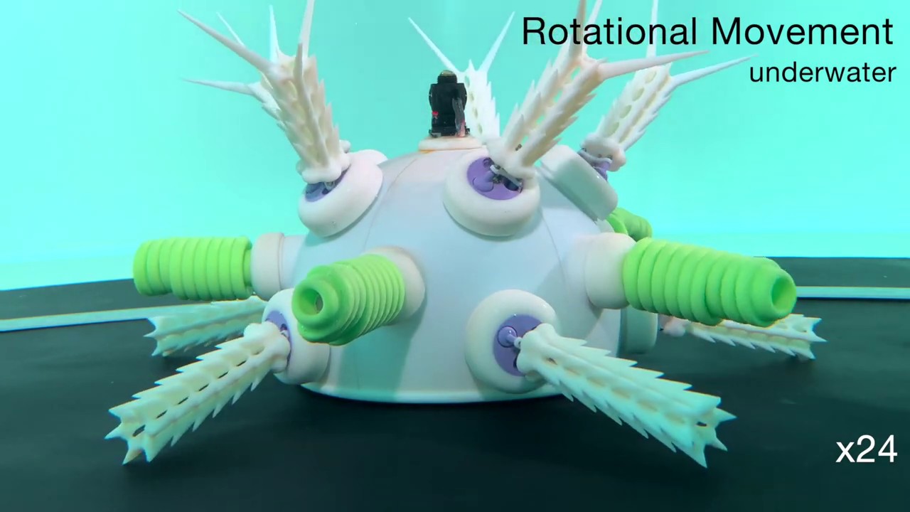 Design, Fabrication, and Characterization of an Untethered Amphibious Sea Urchin-Inspired Robot