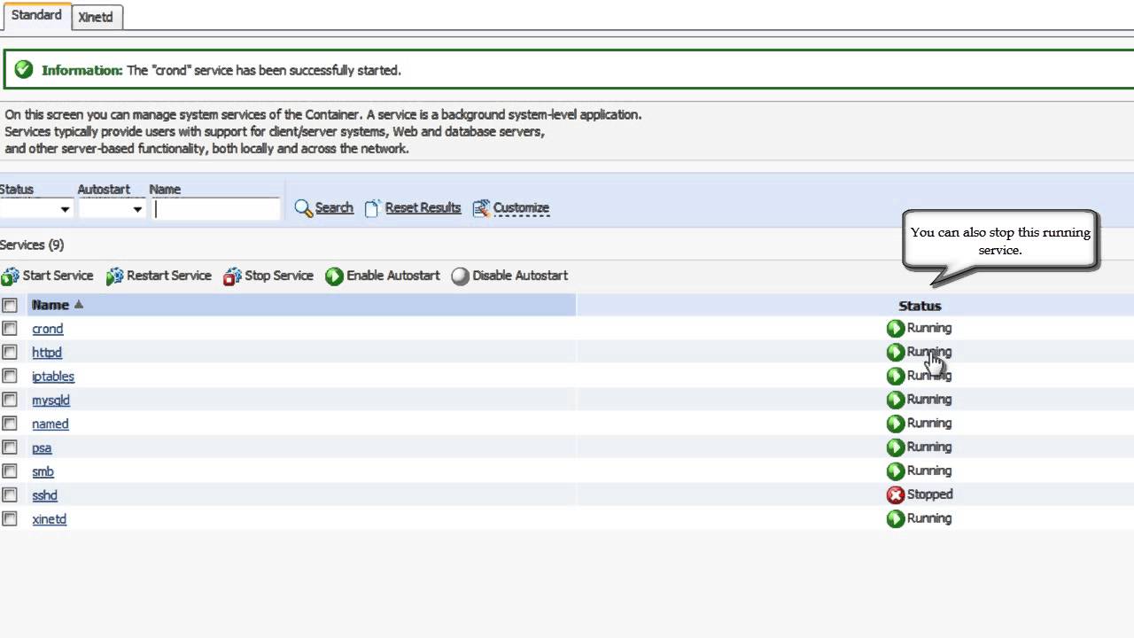 Virtuozzo Tutorial: How to manage System Services in Virtuozzo Power Panel