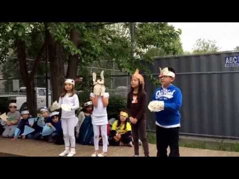 MAY 29, 2014 "All About Animals" @ PS 144 1st Grade